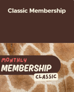 Mall St. Matthews – Animal World Play